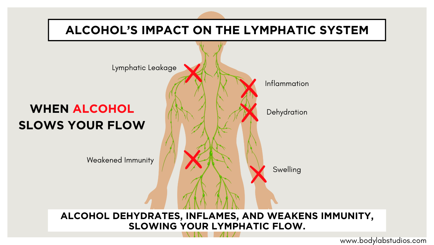 How Alcohol Impacts Lymphatic Health and Reducing Swelling